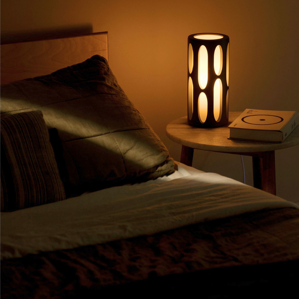 Amoeba Table Lamp | Terra Labs